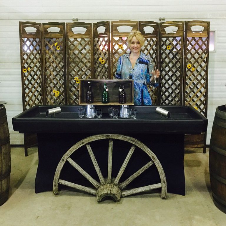 Fill N’ Chill Table – older but still works – for sale only ...