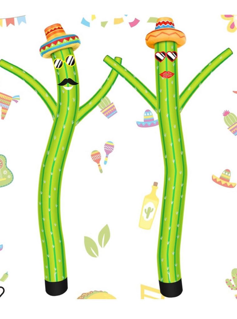 20 Foot Air Dancers – 20 ft Cactus Inflatable Tube people – Carnivals ...