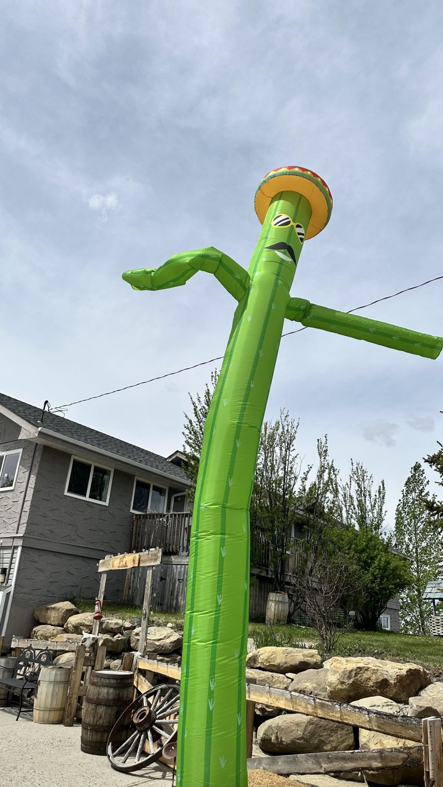 Wacky Waving Inflatable Tube Man Info – Carnivals for Kids at Heart